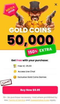 Mega Bonanza Casino Review 2025 | Ratings and Assessment